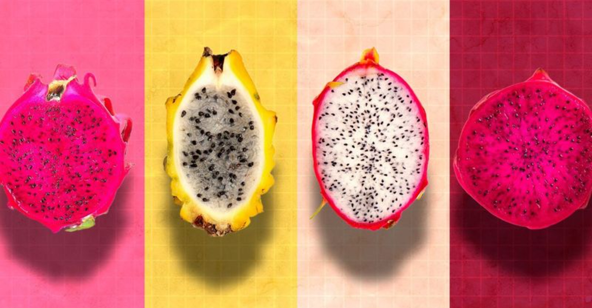 The 4 Main Types Of Dragon Fruit And Their Unique Benefits