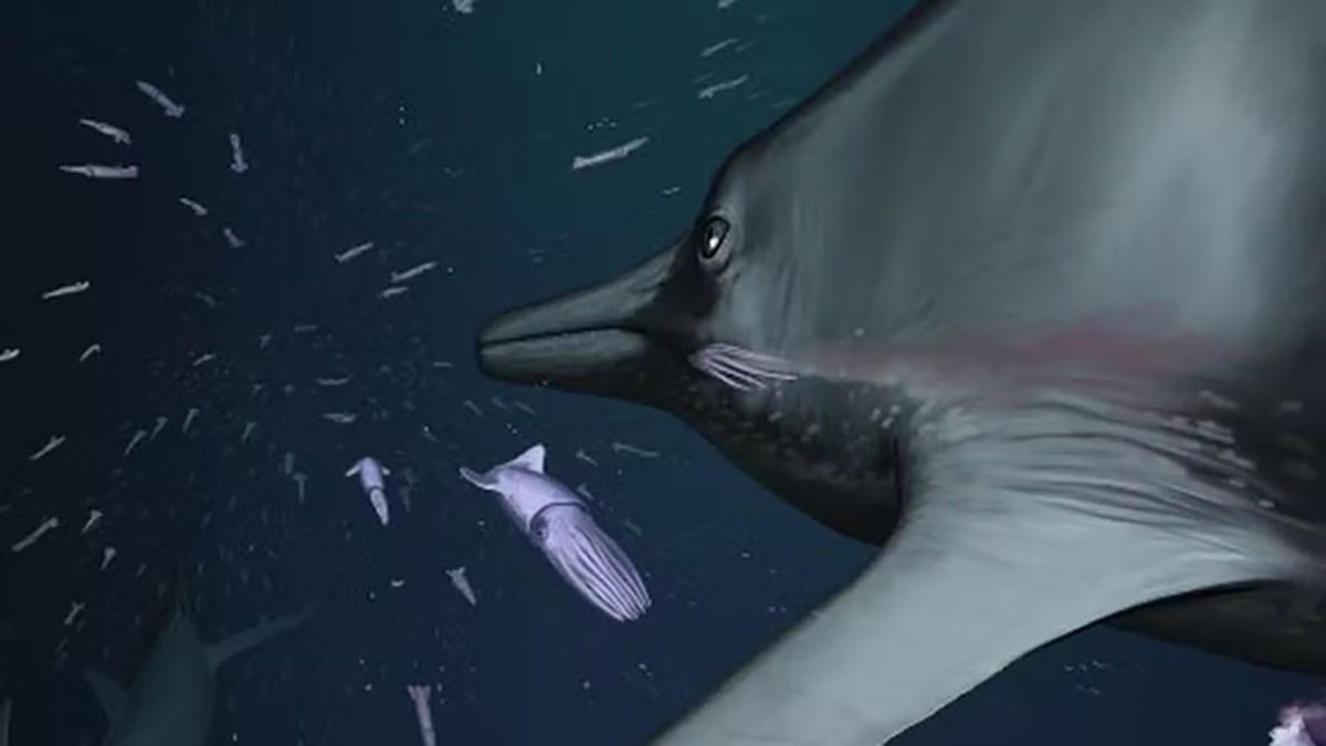 "Dragão marinho" pré-histórico caçava em silêncio e tinha olhos gigantes