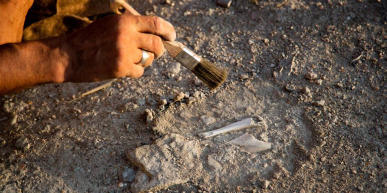 A unique discovery, archaeologist says, will change history