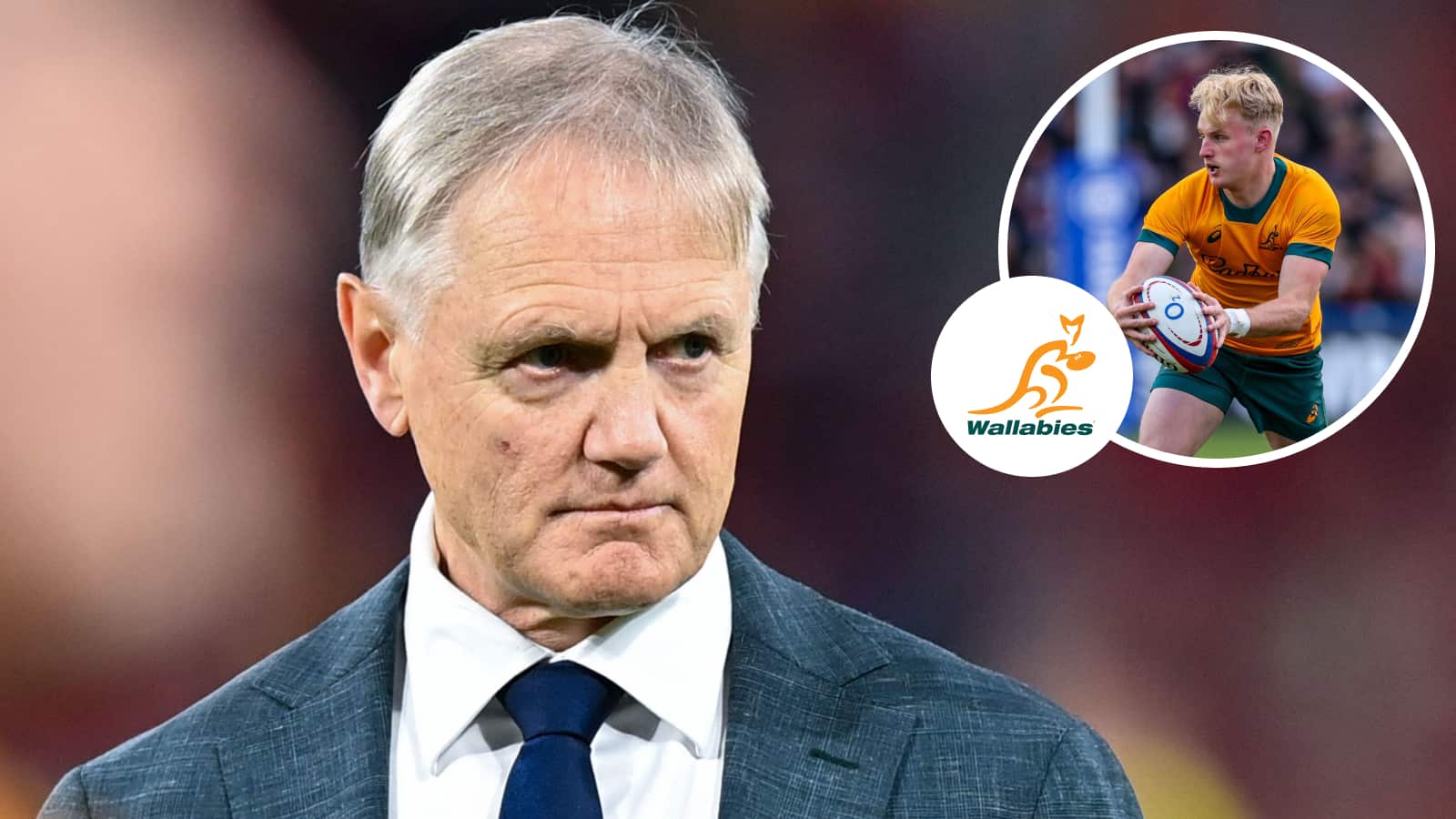 Ex-Wallaby: Rugby Australia thought Joe Schmidt was the saviour, not ...