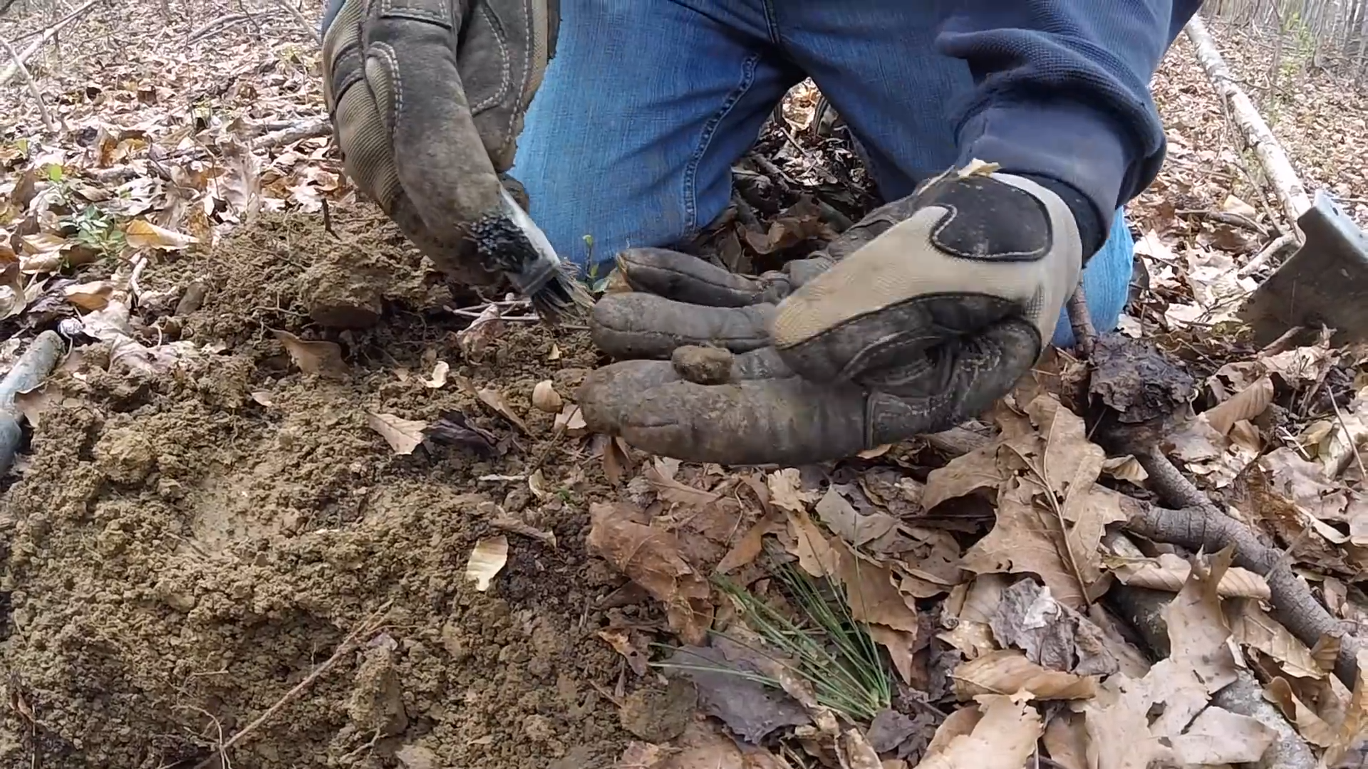 Metal detecting the lost camps of Jackson, Crockett & Houston