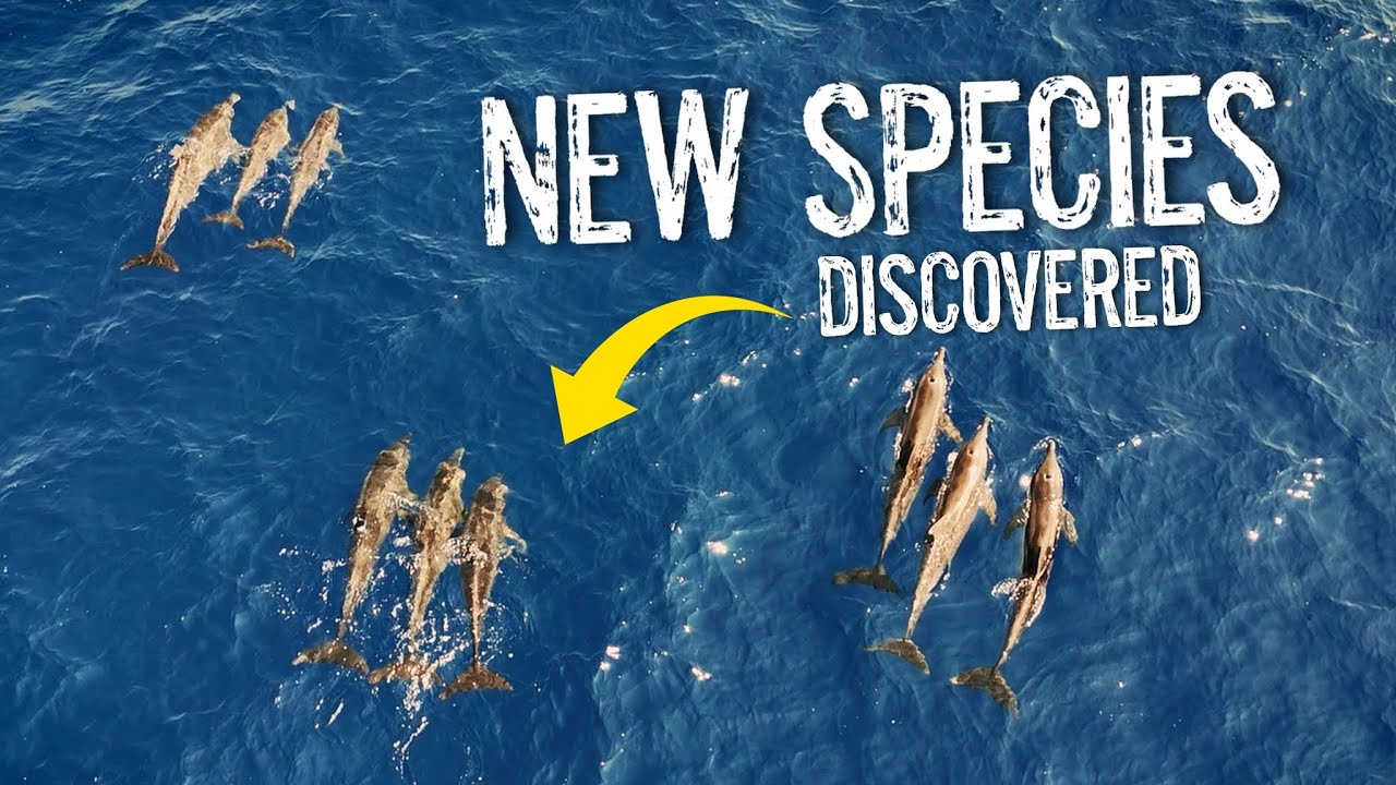 ¡Abrígate bien! Alertan de temperaturas de -5 a 0 °C hoy; aquí te ...