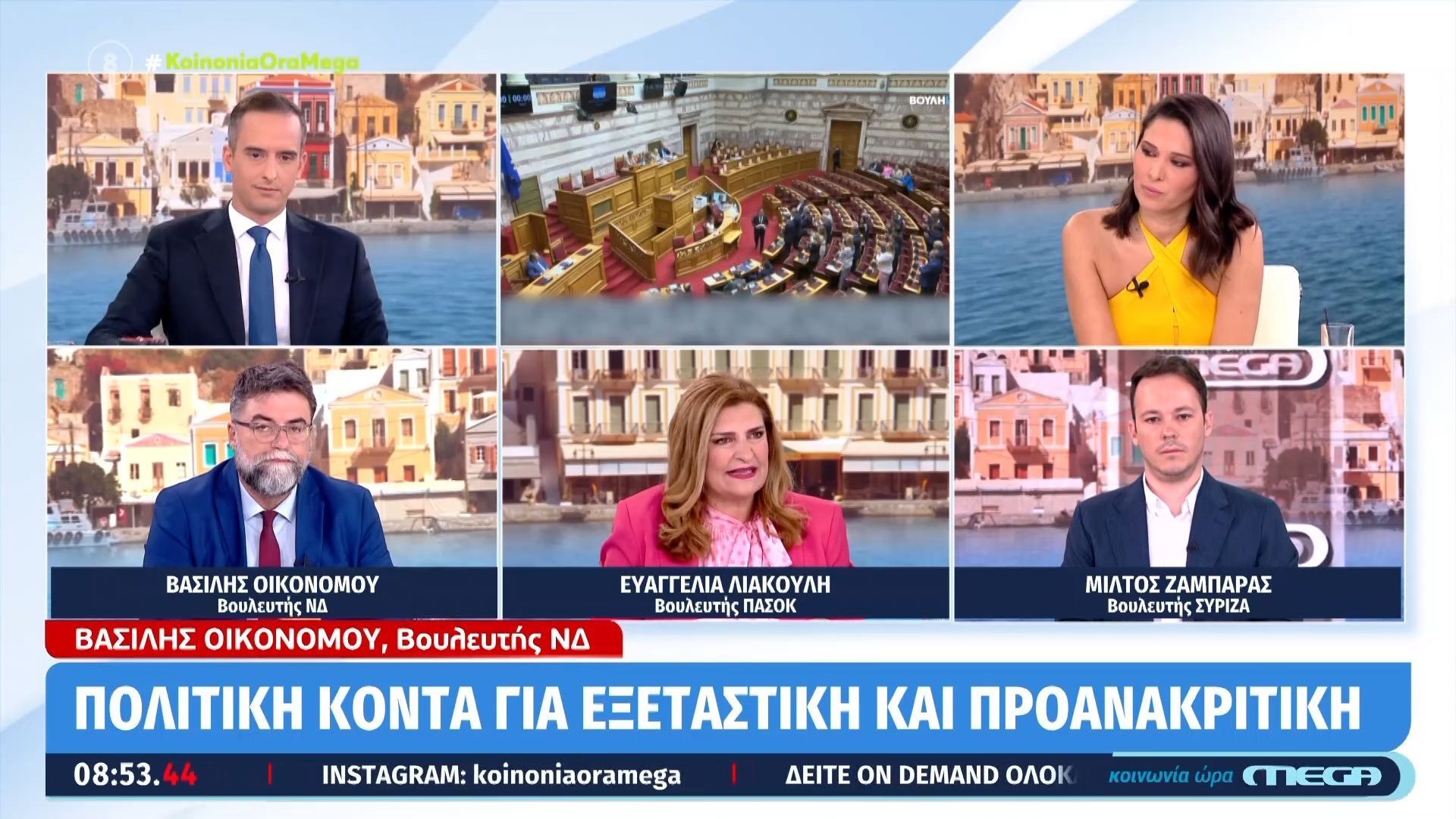 Ε. Λιακούλη για ΟΠΕΚΕΠΕ: «Όσα δεν είδαν τα μάτια μου και δεν άκουσαν τα ...