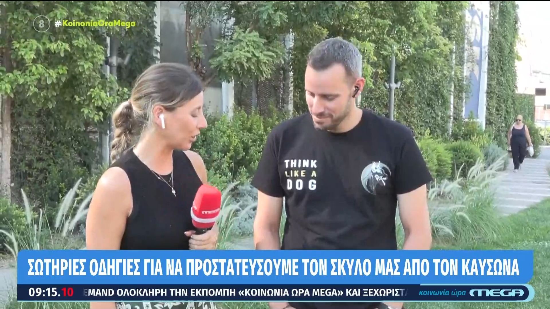 Οδηγίες για να προστατεύσουμε τον σκύλο μας από τον καύσωνα