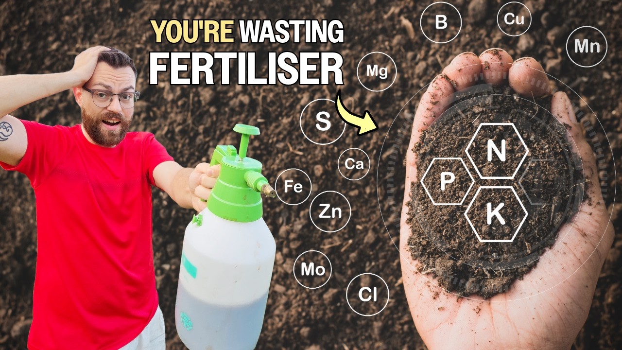 The Ultimate Fertilizer Guide for Thriving Plants