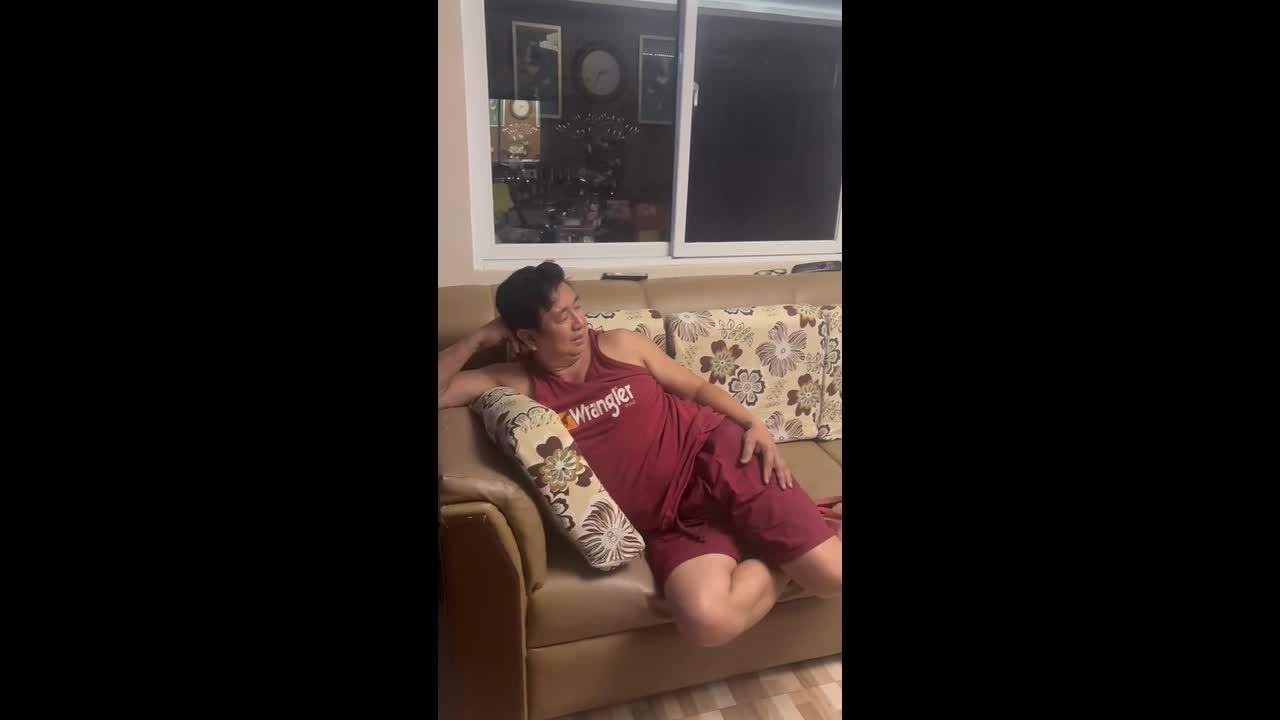 Pet cat relaxes on sofa just like human watching TV after work