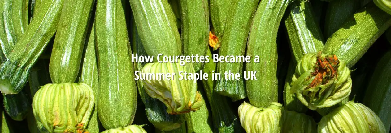 How Courgettes Became a Summer Staple in the UK