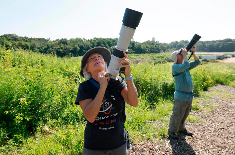 A beloved rare bird returns to Raleigh, out of his normal range. How to ...