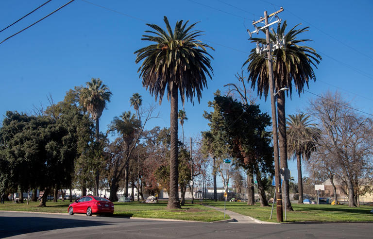 Columbus Park celebrates reopening after months-long renovation
