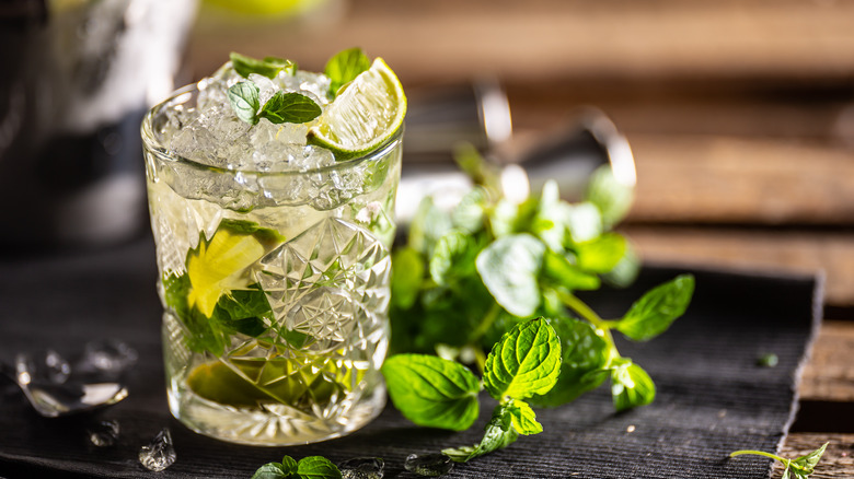 14 Types Of Rum And What To Mix Them With