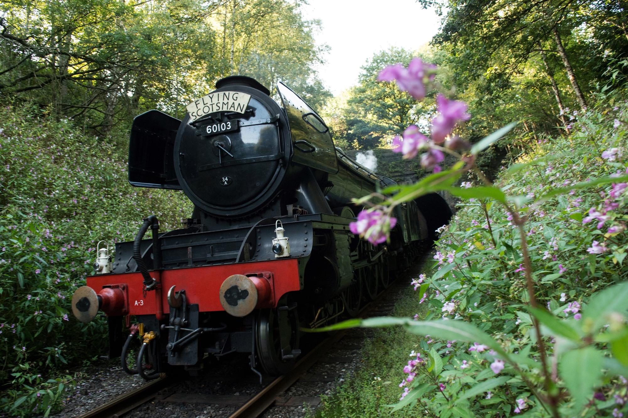 Flying Scotsman will star in 200 years of railway celebration at Barrow ...