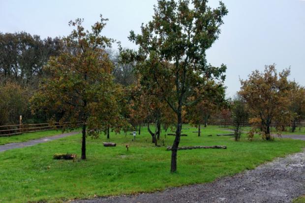 New campsite to open within 'short walking distance' of three tourist ...