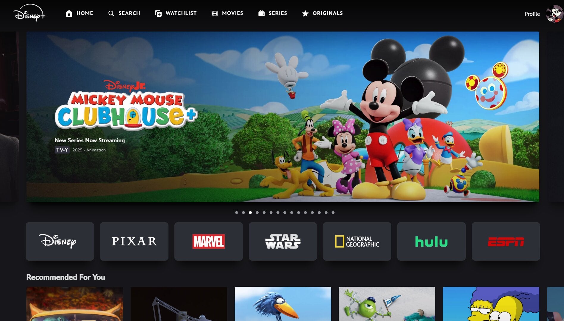 What do we think of the Disney+ user interface?