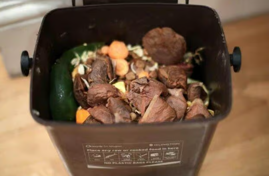 All you need to know about new bins for when food waste collections ...