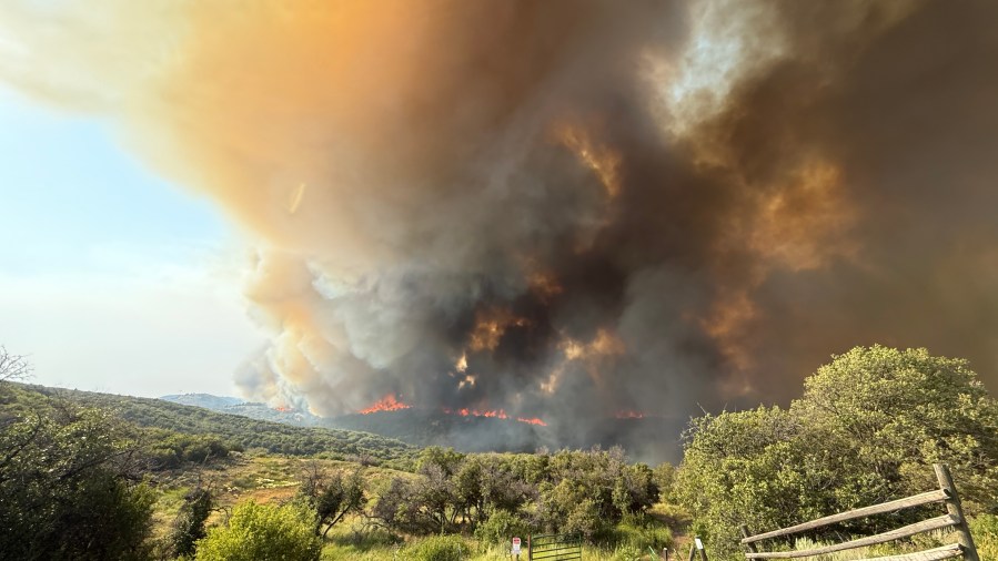Update on the South Rim Fire in Montrose County