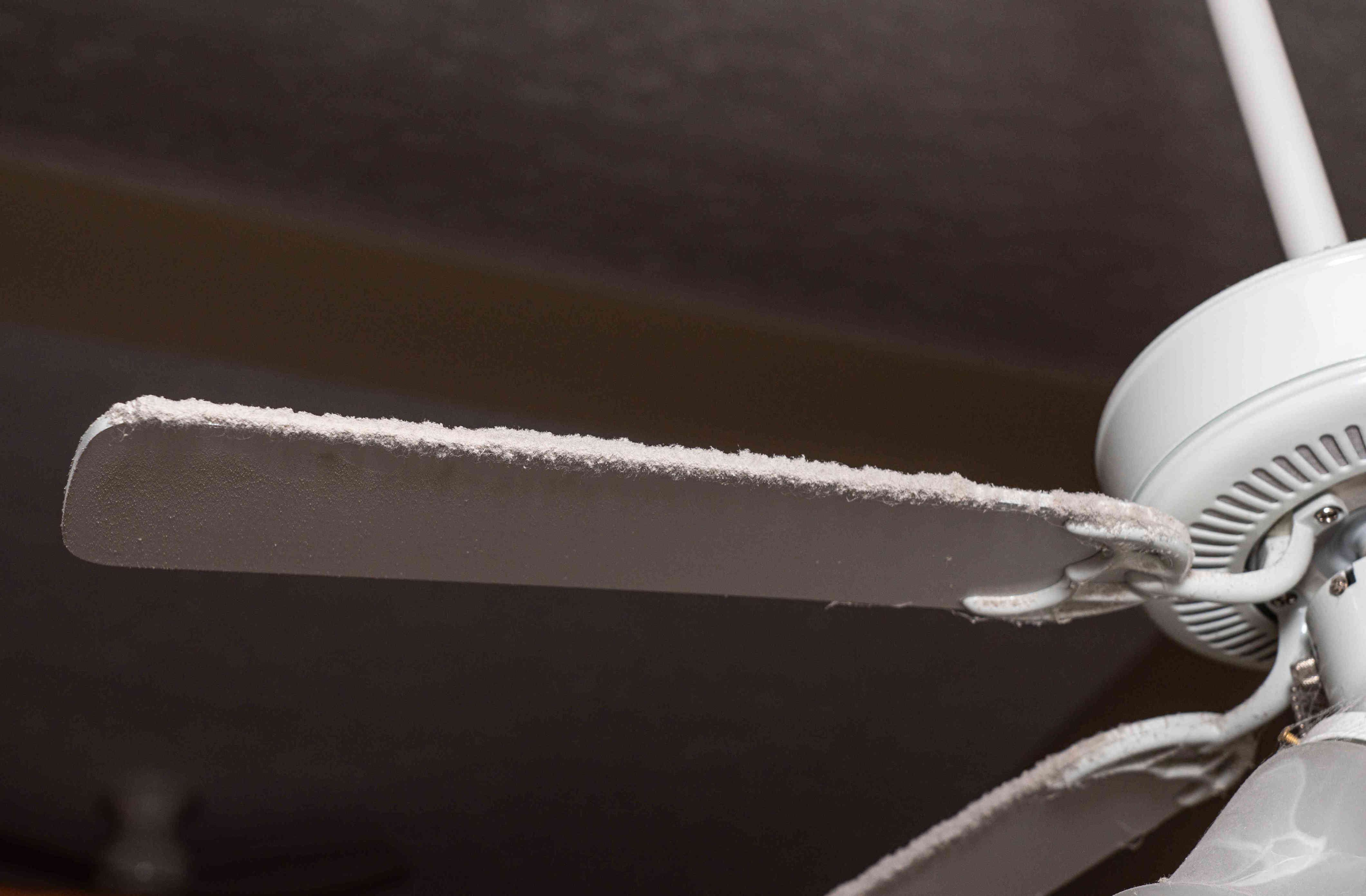 How To Dust Your Ceiling Fan Without Making A Mess