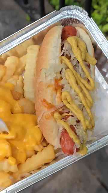 NYC Grilled Hot Dogs at Brooklyn Bridge — Street Food Experience
