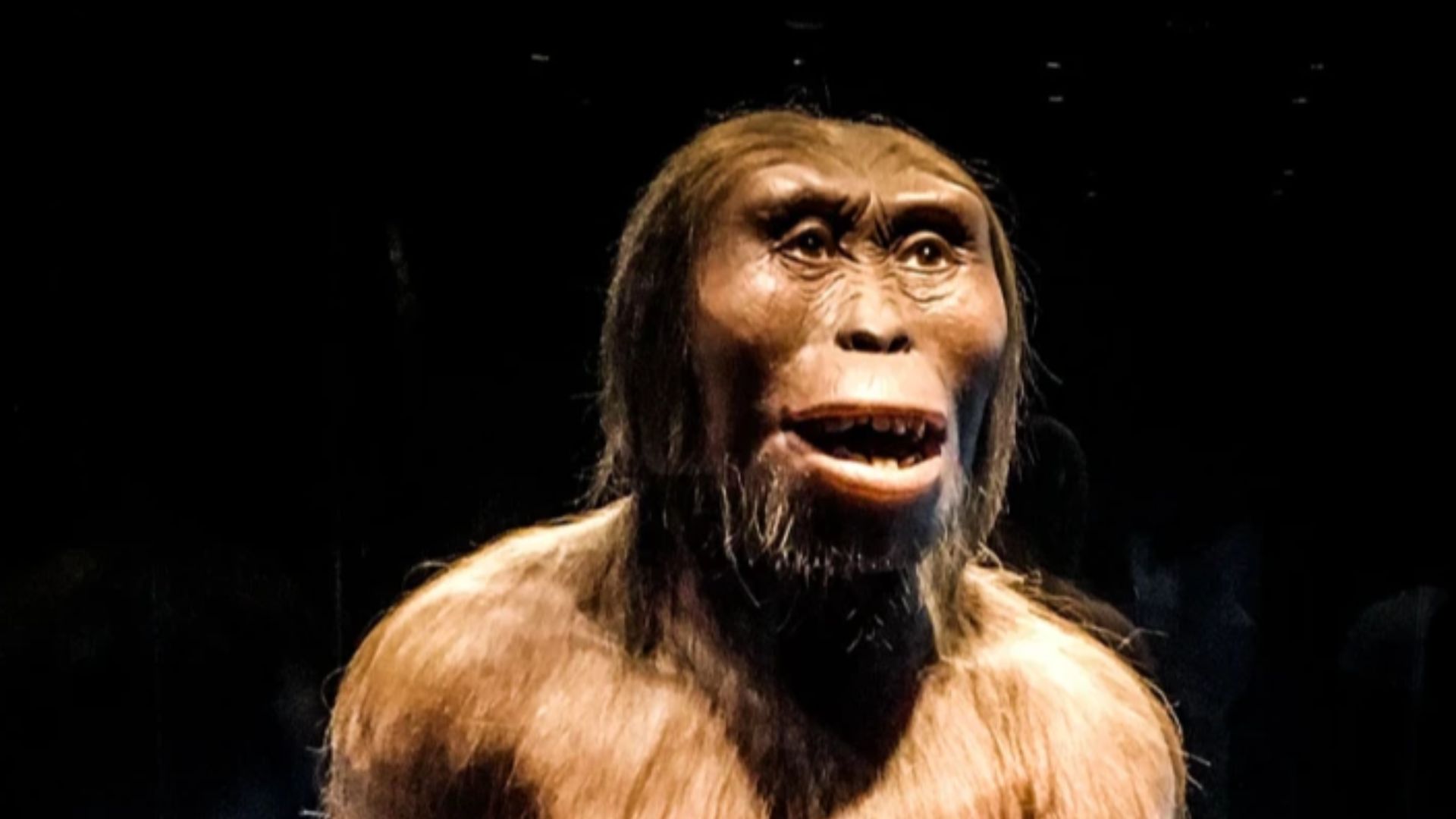 What Lies Beneath: The 20 Coolest Fossils Ever Discovered