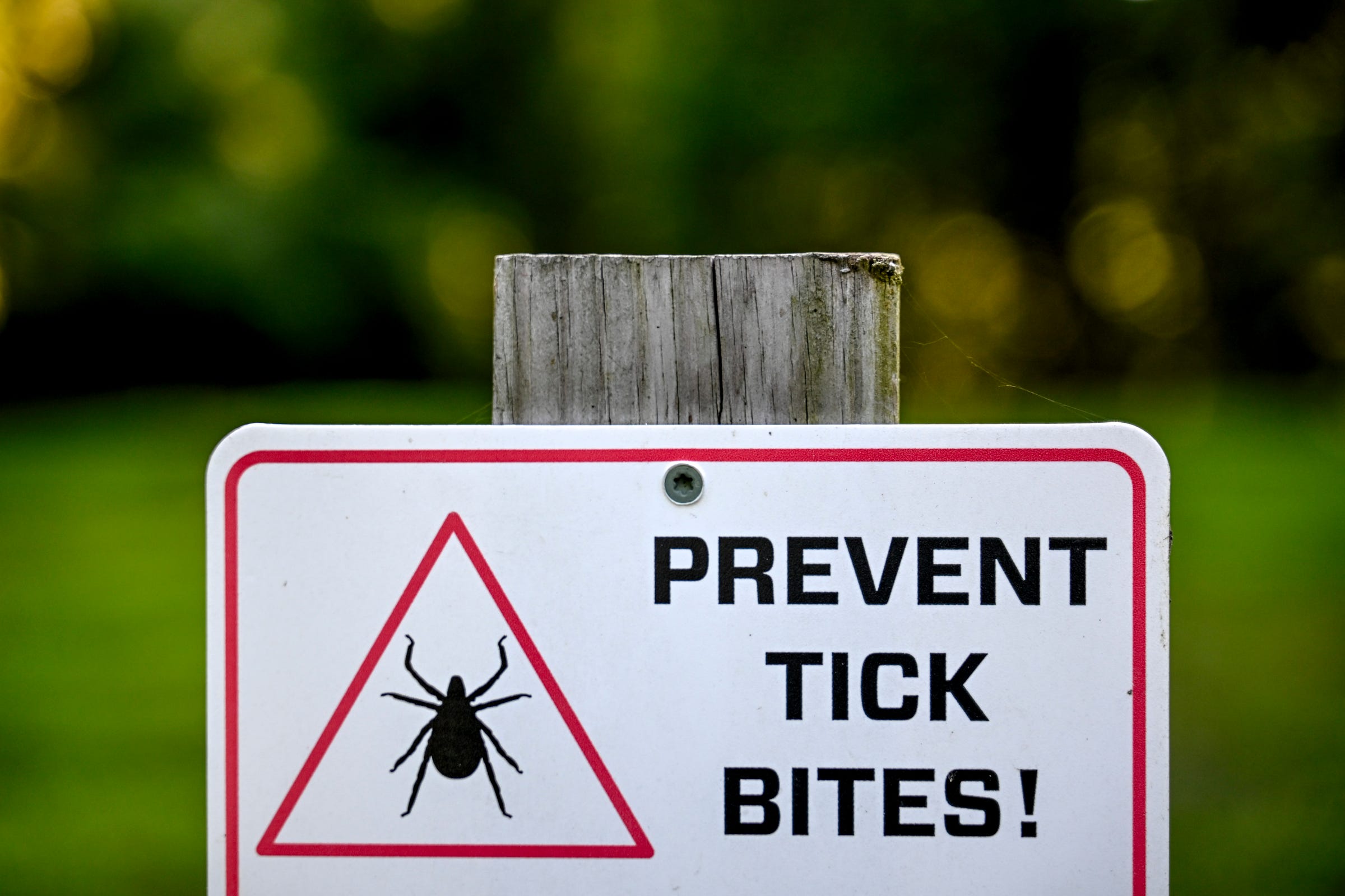 With warming temperatures, ticks are expanding their range and growing ...