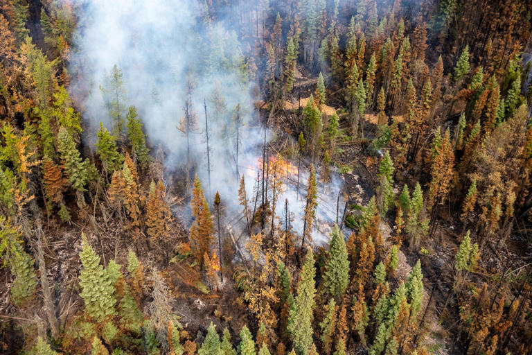 Air quality alert in effect for Vermont due to smoke from Canadian ...