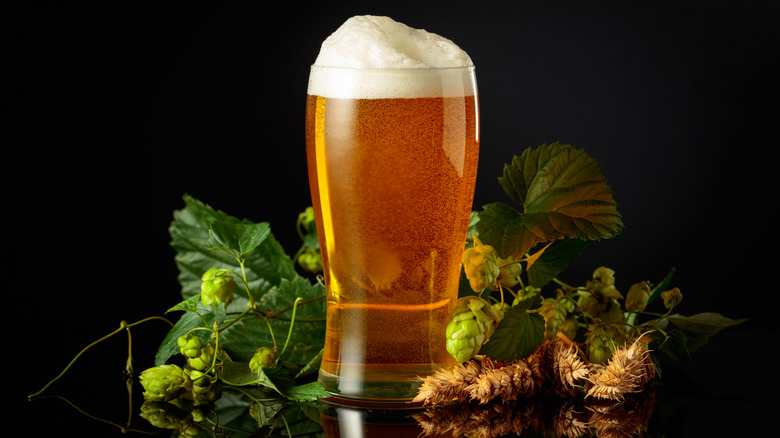 What Is Botanical Beer?