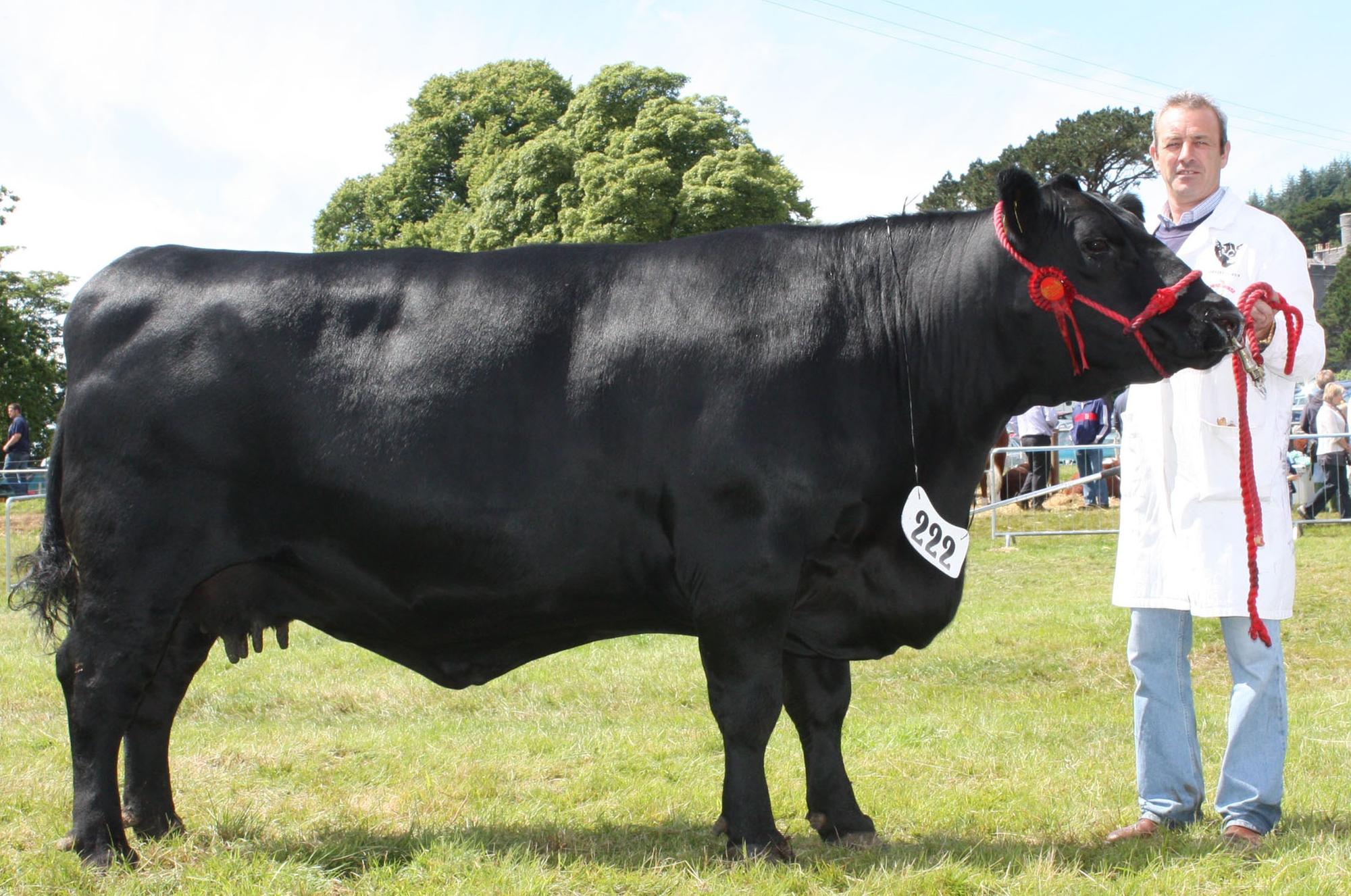 20 nostalgic old photographs from the Castlewellan Show down through ...