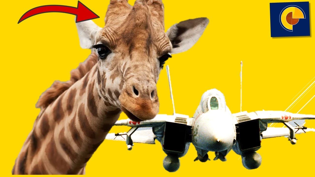 How a Giraffe Radar Defeated the F‑14