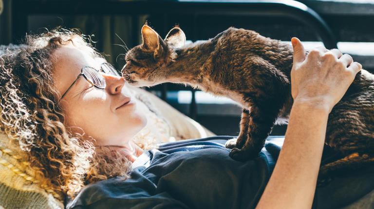 Clear Signs A Stray Cat Has Adopted You