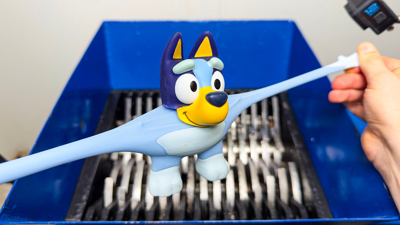 Shredding Stretchy BLUEY Figure!