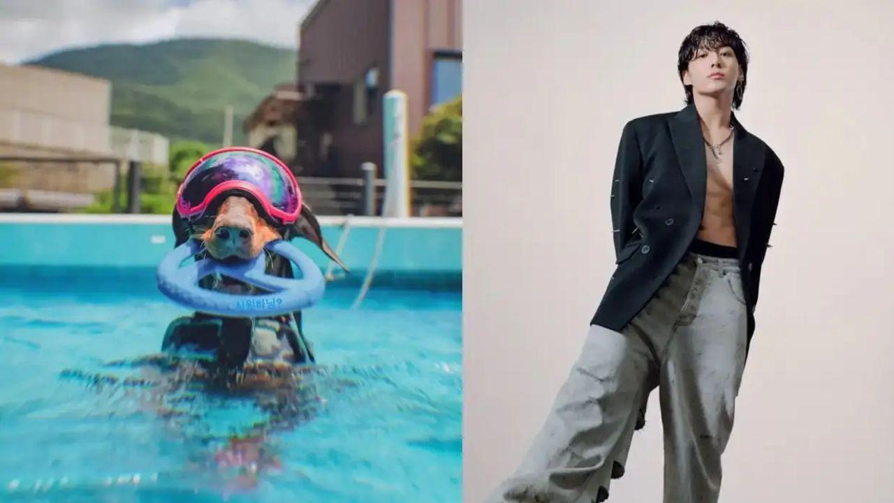 BTS Jungkook`s pool day pictures with his dog Bam leave fans awestruck