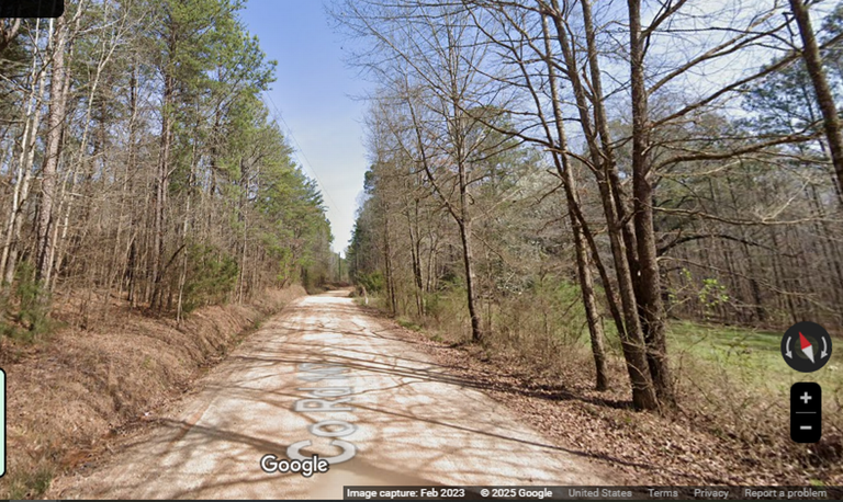 7-year-old boy attacked and killed by pack of nine dogs, Alabama cops say