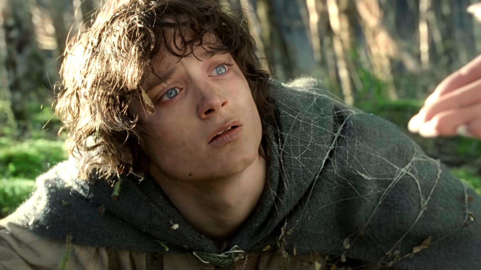 15 Best Chosen One Stories in Movies and Shows