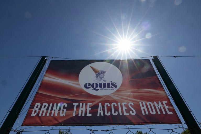 Hamilton Accies fans' chief 'fears administration' over tax and wages ...