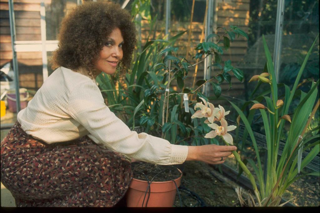 Britain’s most successful ever jazz singer dies aged 97