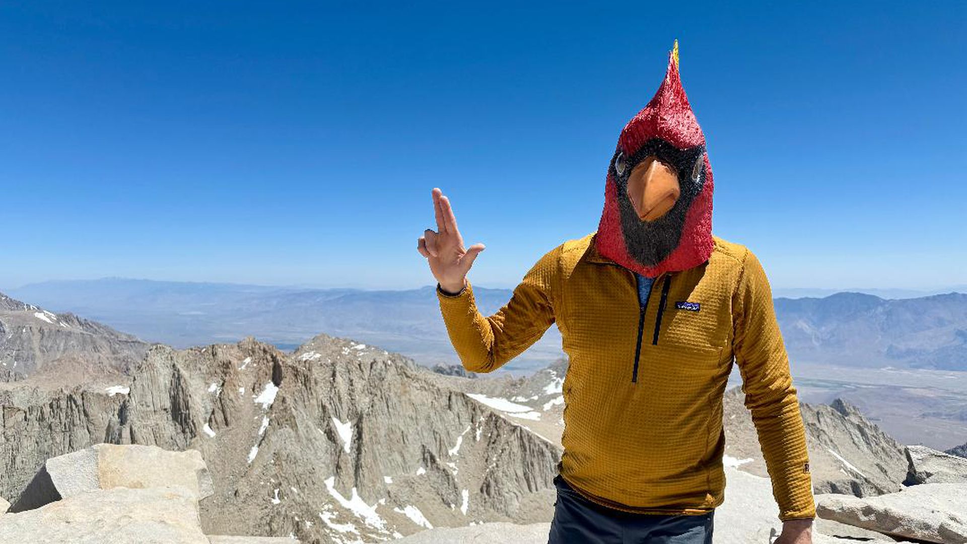 Friday afternoon Cardinal news and notes