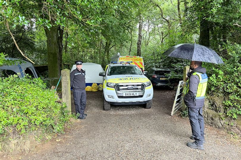 Major update in murder investigation after 'multiple bodies found' claims