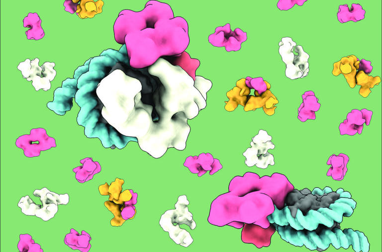 Chromatin organization linked to p53 tumor suppression mechanism