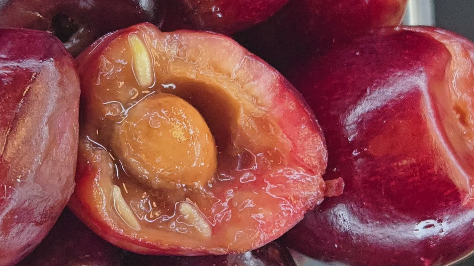 Cherries with invasive fruit flies found at Detroit Metro Airport