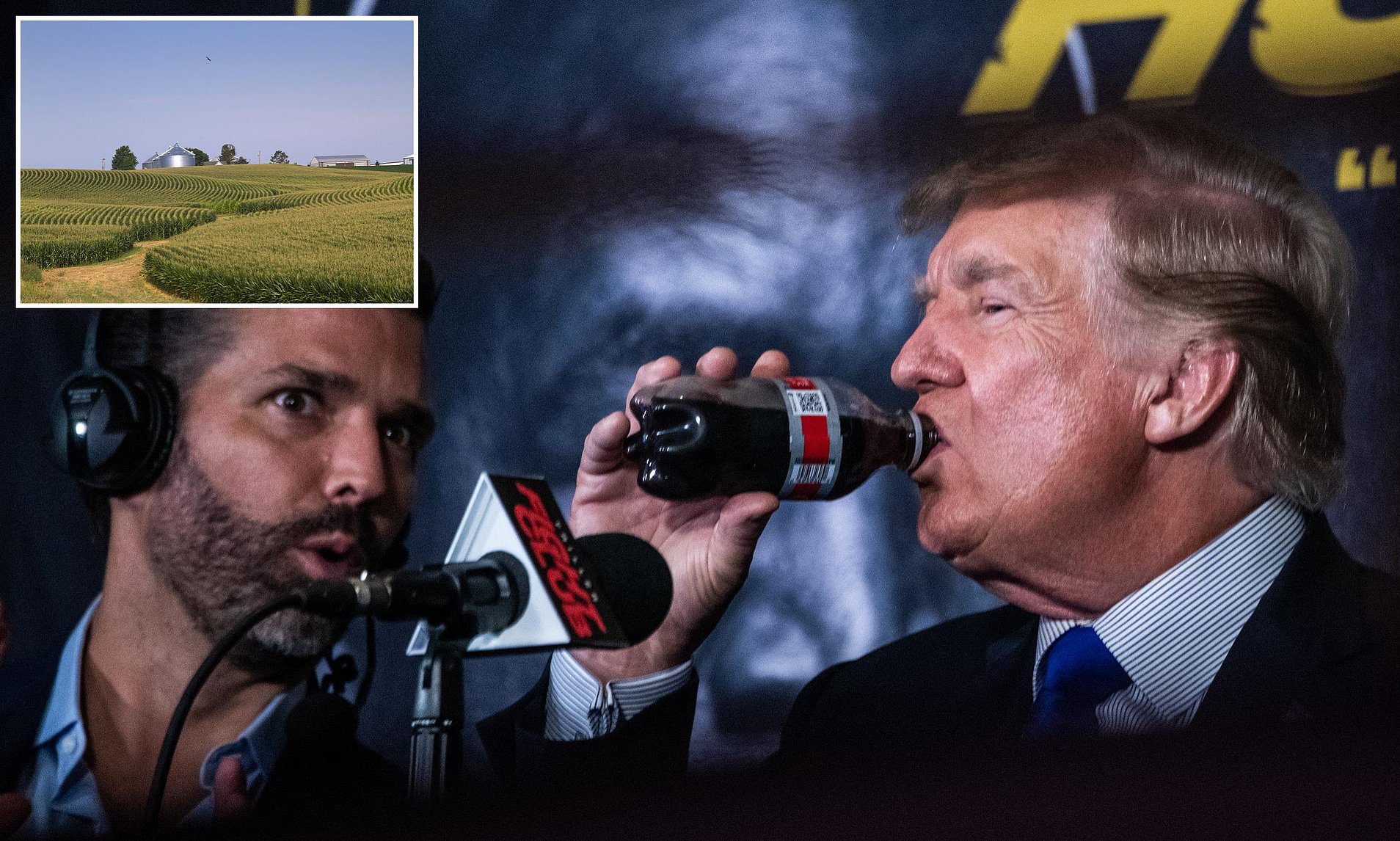 Trump pushing Coke to use real sugar in its sodas is set to revive ...