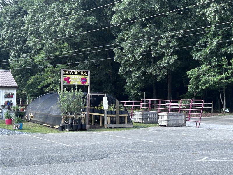 A peach-perfect day! Gross’ Orchard is ready for their annual Peach ...