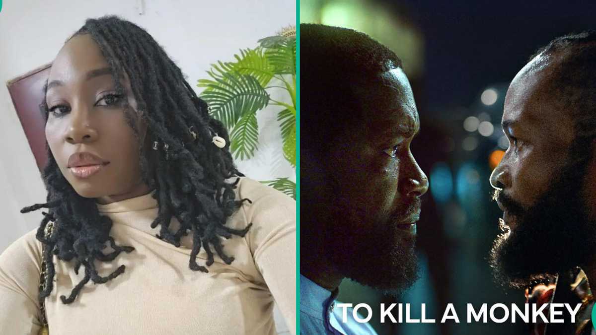 To Kill A Monkey: Lady Who Watched Viral Netflix Movie Mentions Scenes ...