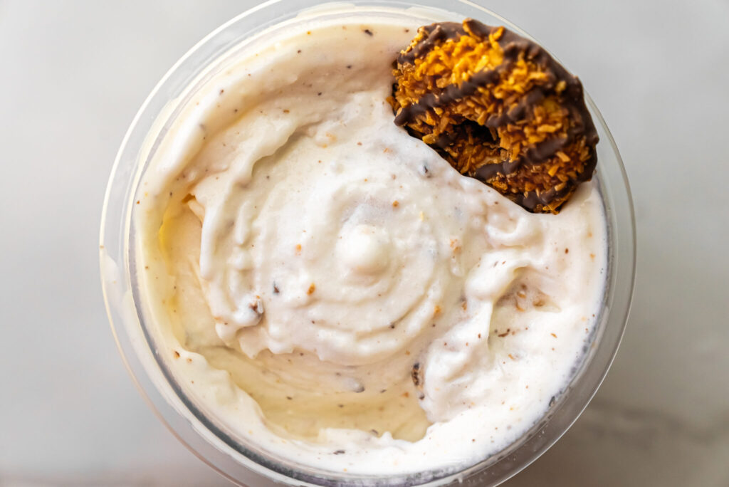 20 Irresistible Ninja Creami Ice Creams So Good, You’ll Hide Them from ...