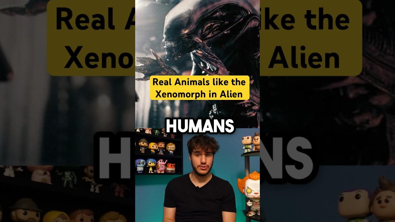 Real Animals Like The Xenomorph In Alien!