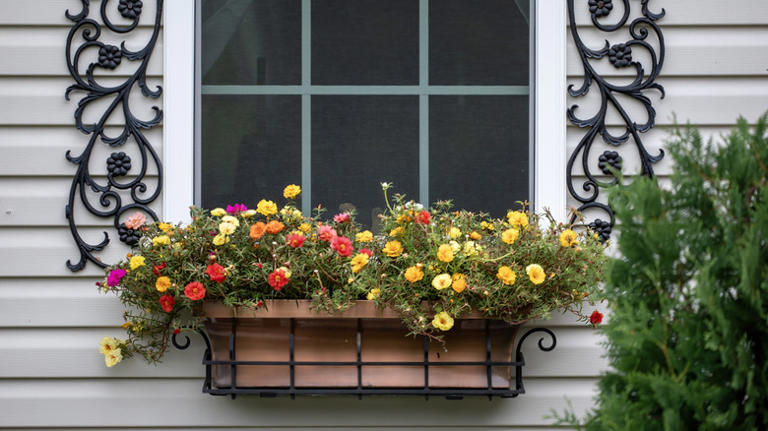 Add More Growing Space To Your Window Boxes With A Simple Trick