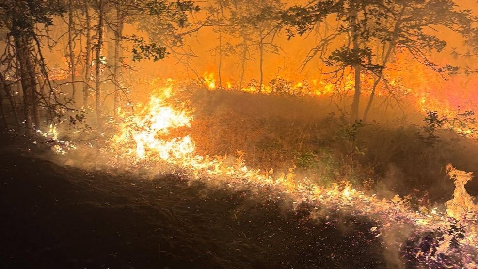 Firefighters hold lines as Burdoin Fire hits 11,249 acres in Columbia ...