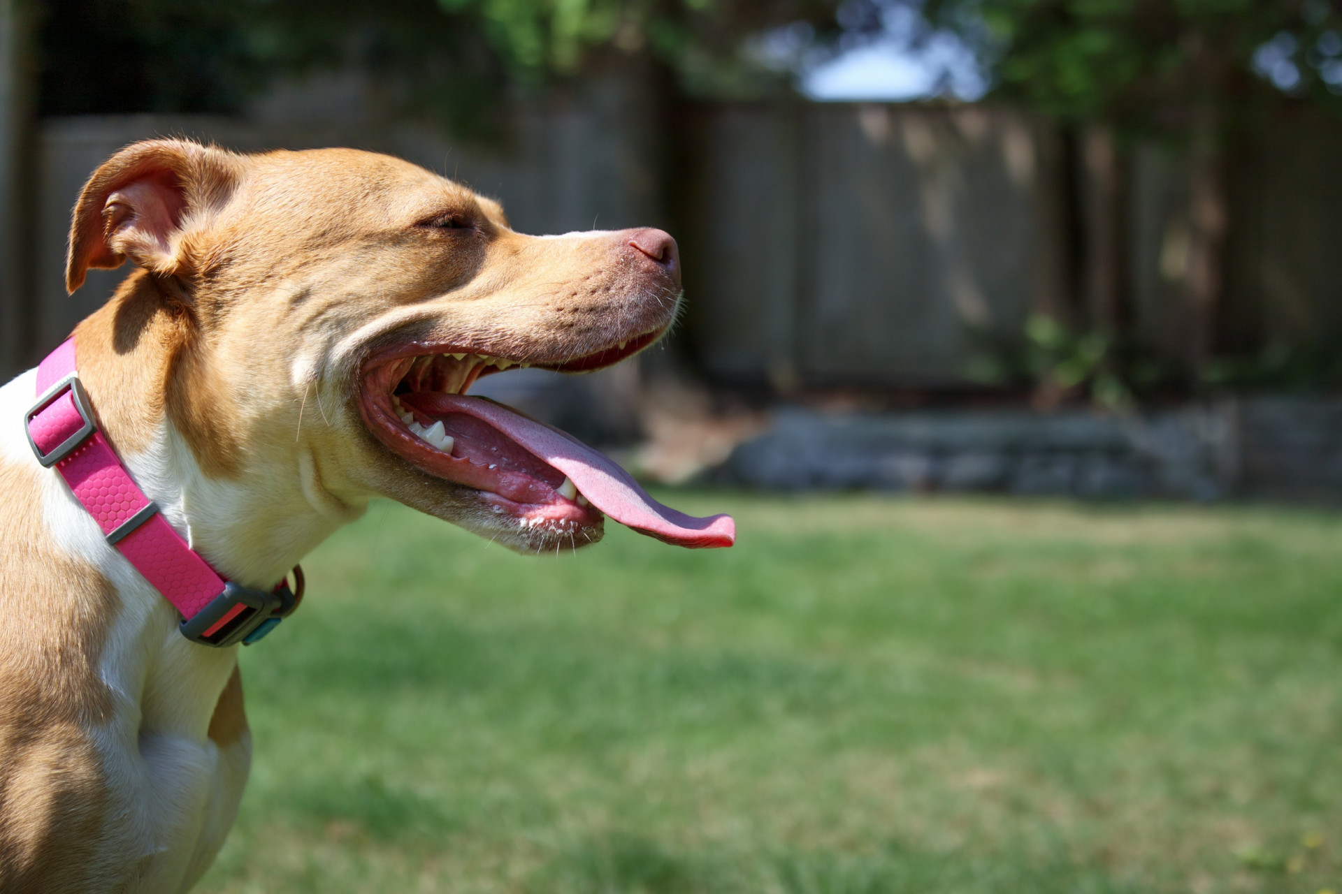 16 Delicious Foods to Try Before You Die