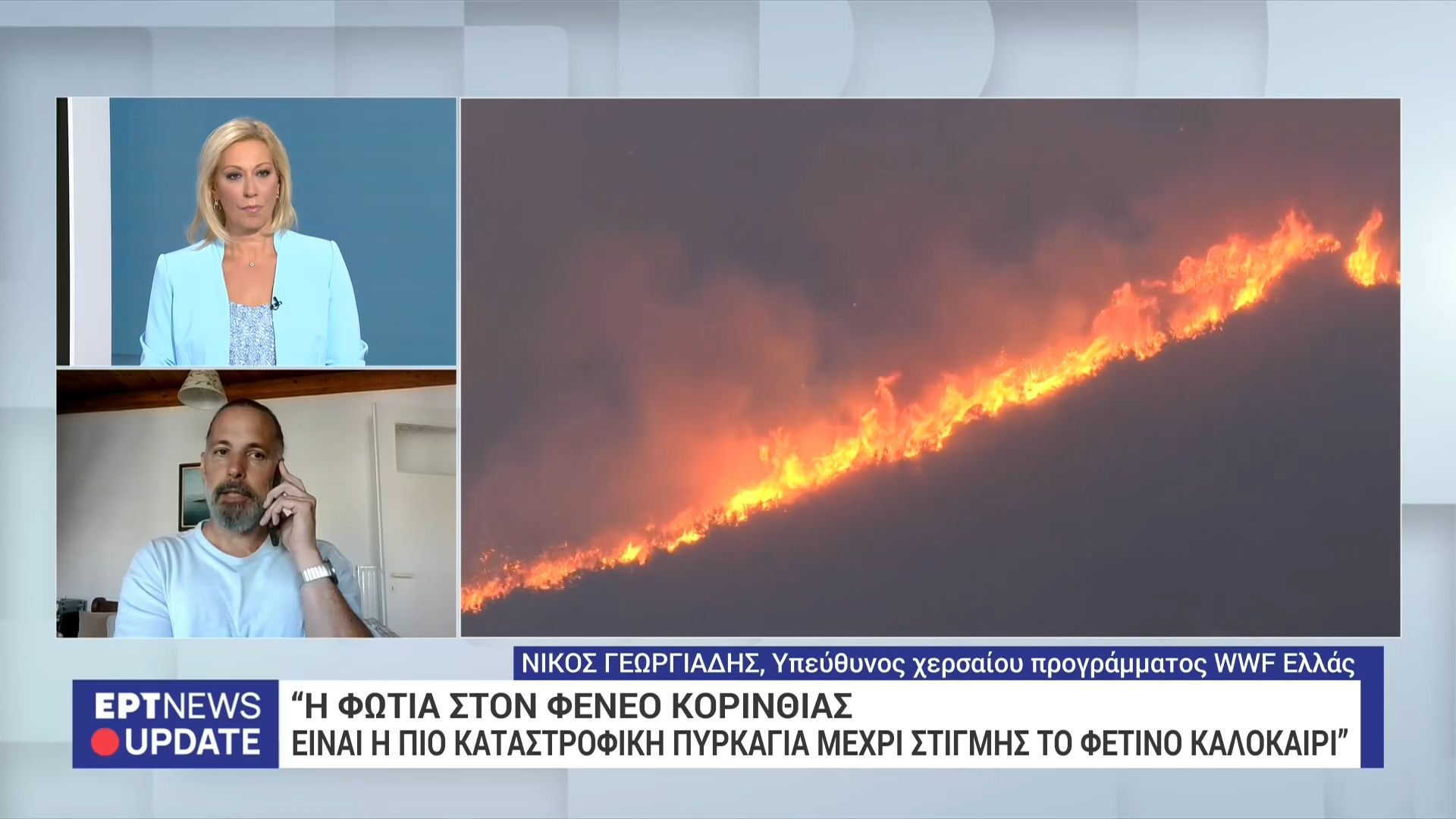 Ν. Γεωργιάδης (WWF) στο ΕΡΤNews: H φωτιά στον Φενεό Κορινθίας είναι η ...