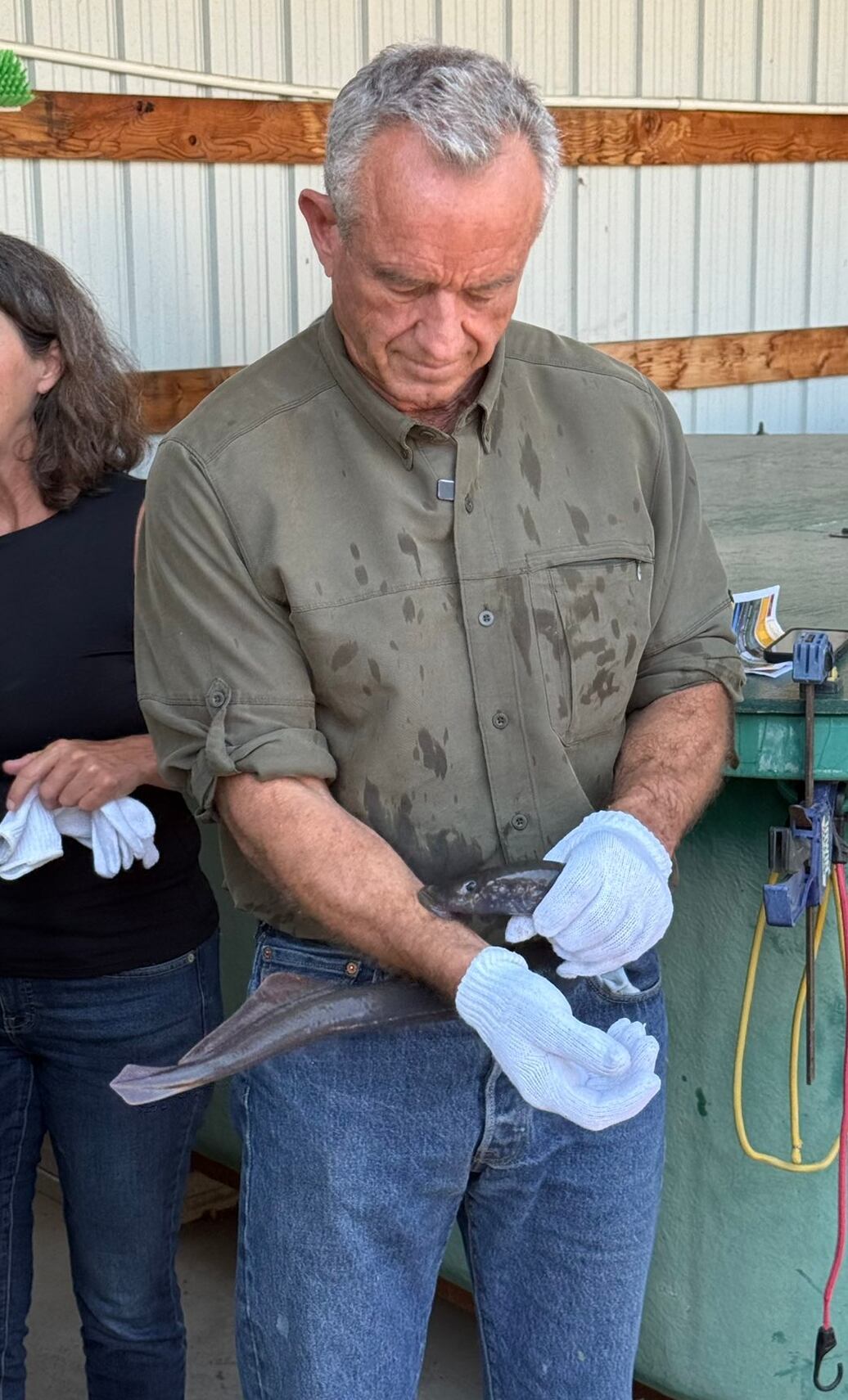RFK Jr. Lets Parasitic Sea Vampire Bite His Arm to Show Off ‘Hickeys