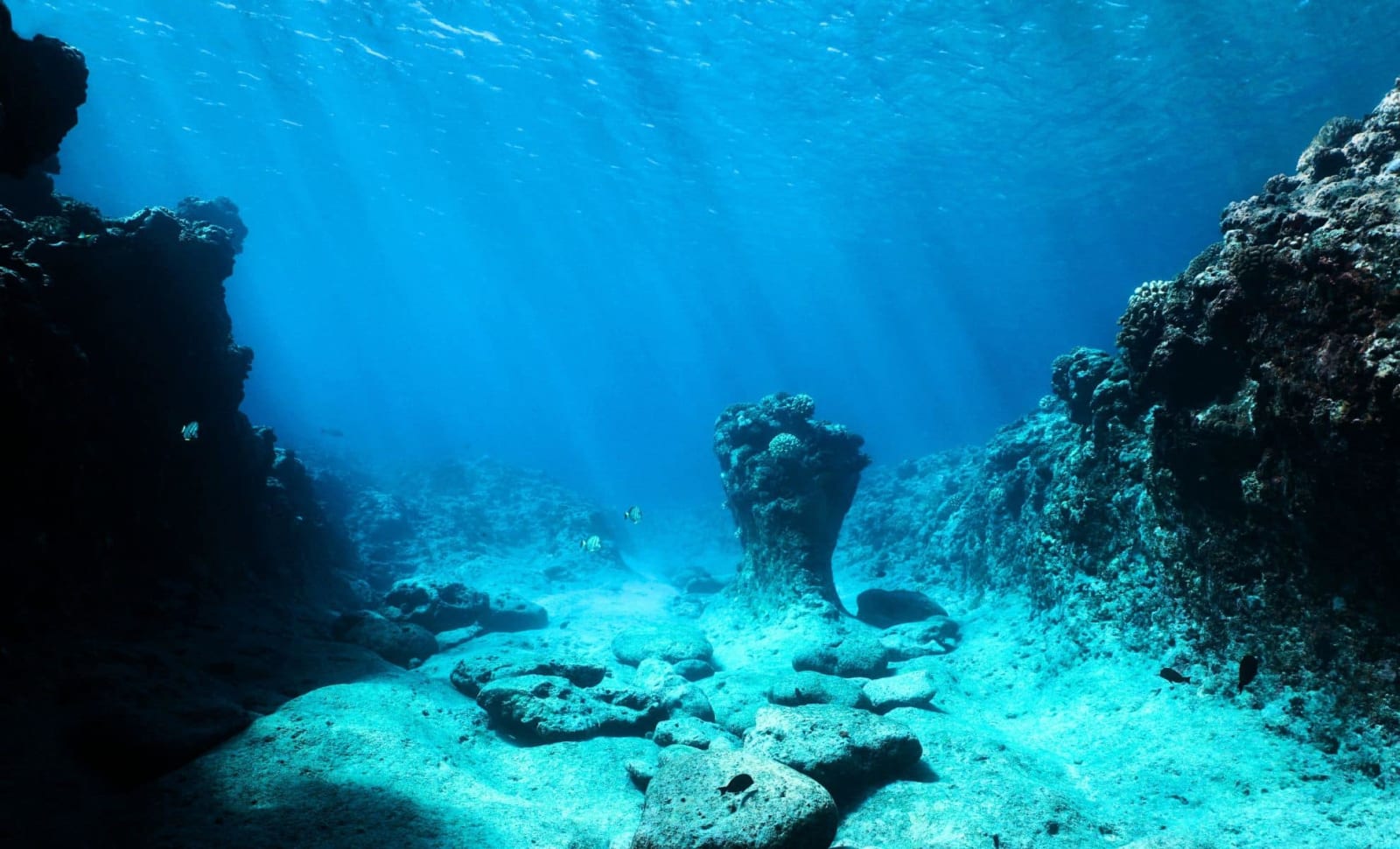 15 Million Years Ago, Earth “Swallowed” Billions of Tons of Water ...