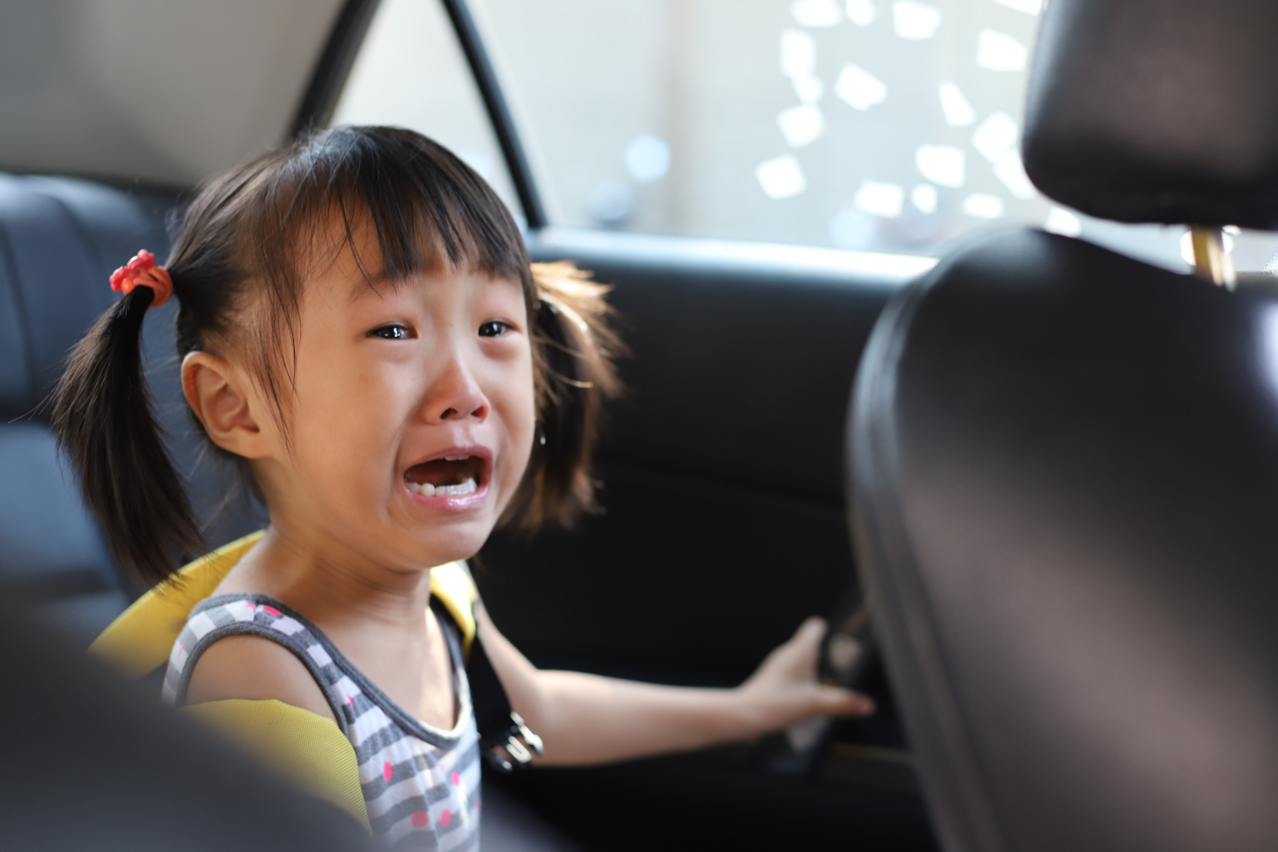 Toddler demands Mickey D's chips in car, how mom cools down goes viral